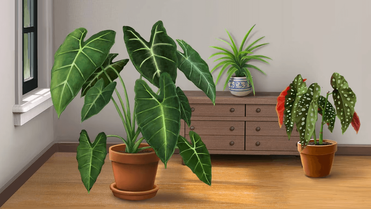 Houseplants Badge Collection: Pack 1